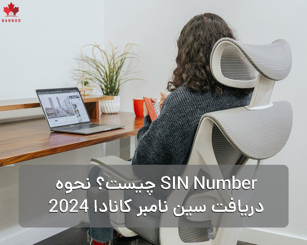 SIN Number چیست؟ نحوه دریافت سین نامبر کانادا 2024 - تجربه‌ی زندگی در ...